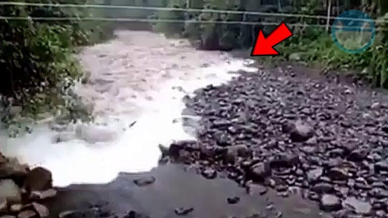 ¿Cómo se llama el borde de un río? Descubre su nombre y características ...